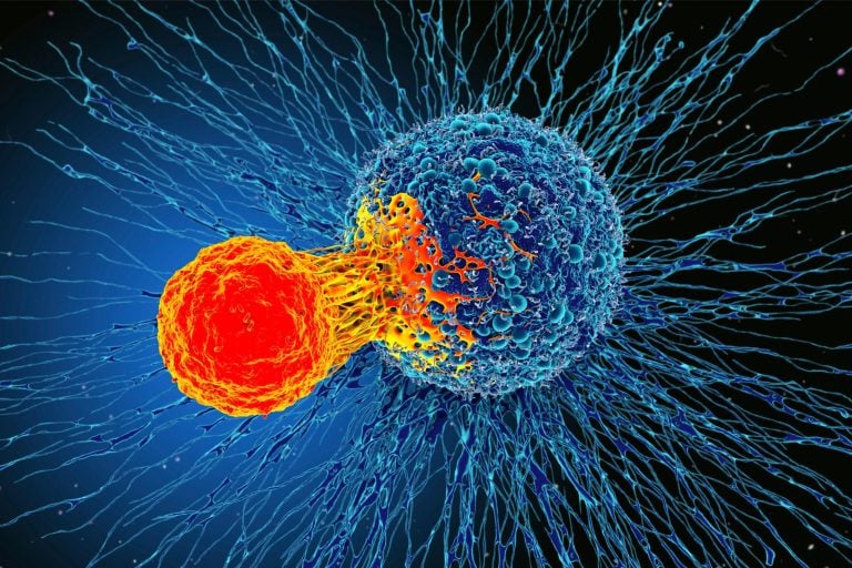 This Experimental Cancer Drug Made Tumors Vanish, Without the Dangerous ...