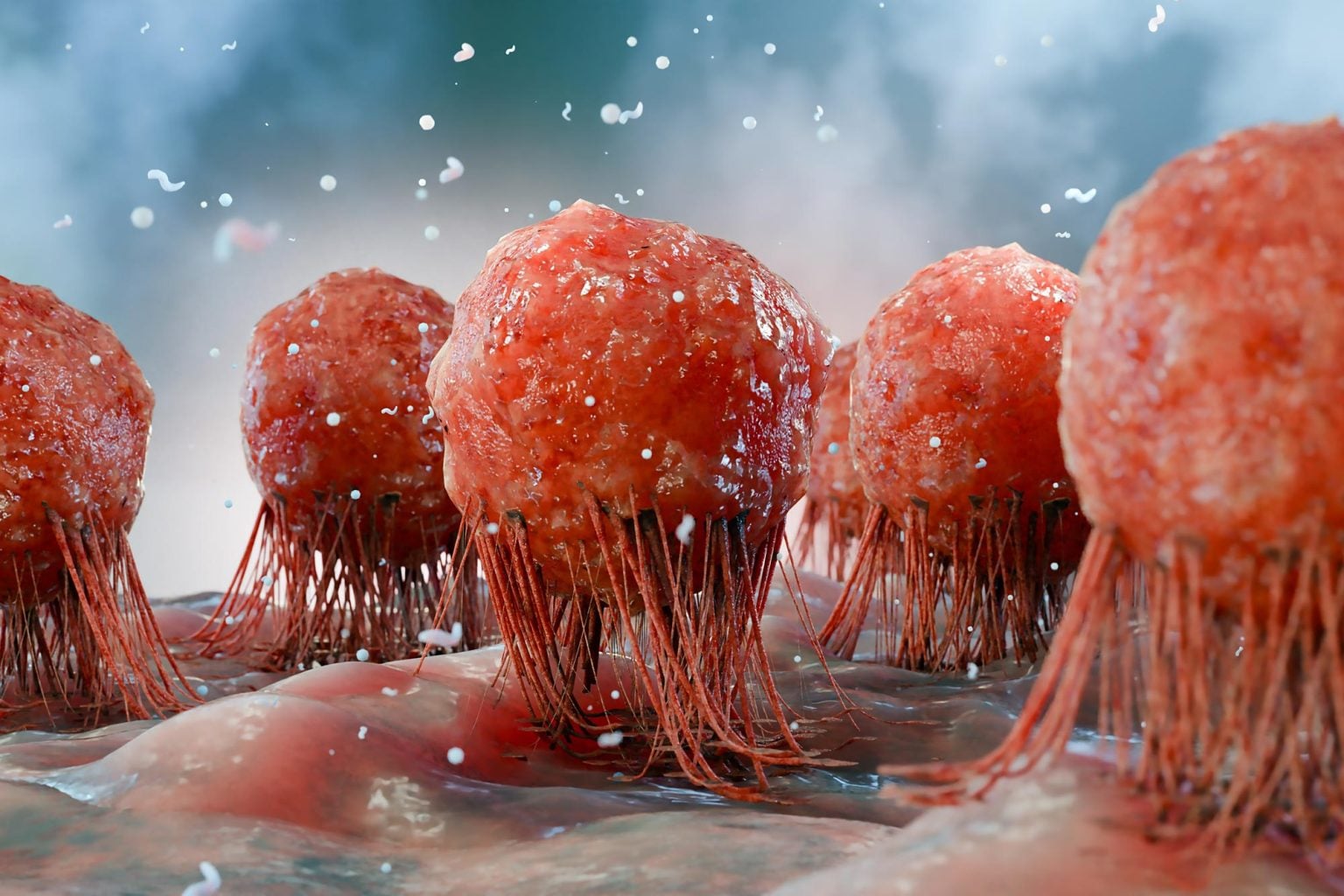 Scientists Discover a Completely Unexpected Way T Cells Kill Cancer
