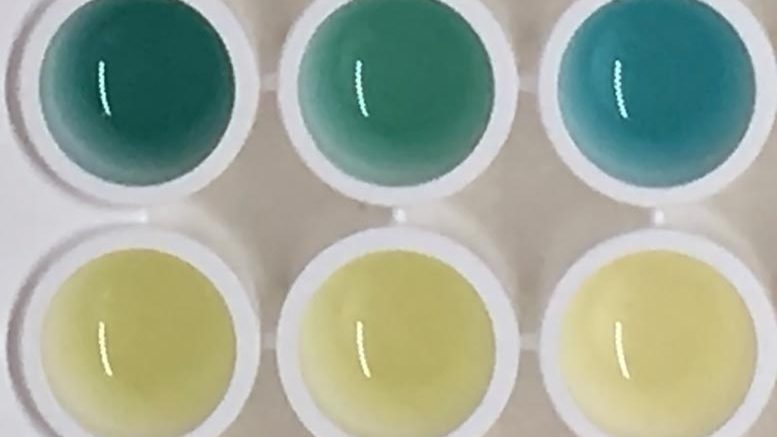 Darcin in Mice Urine Attracts Other Mice