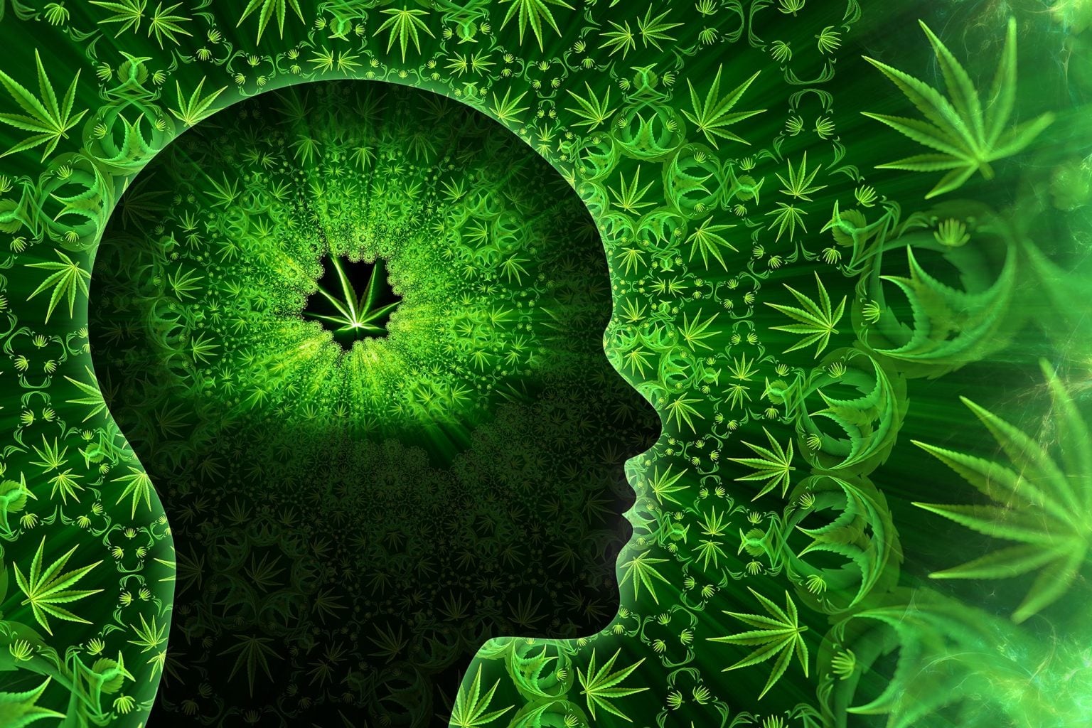Cannabis Can Make You Remember Things That Never Happened