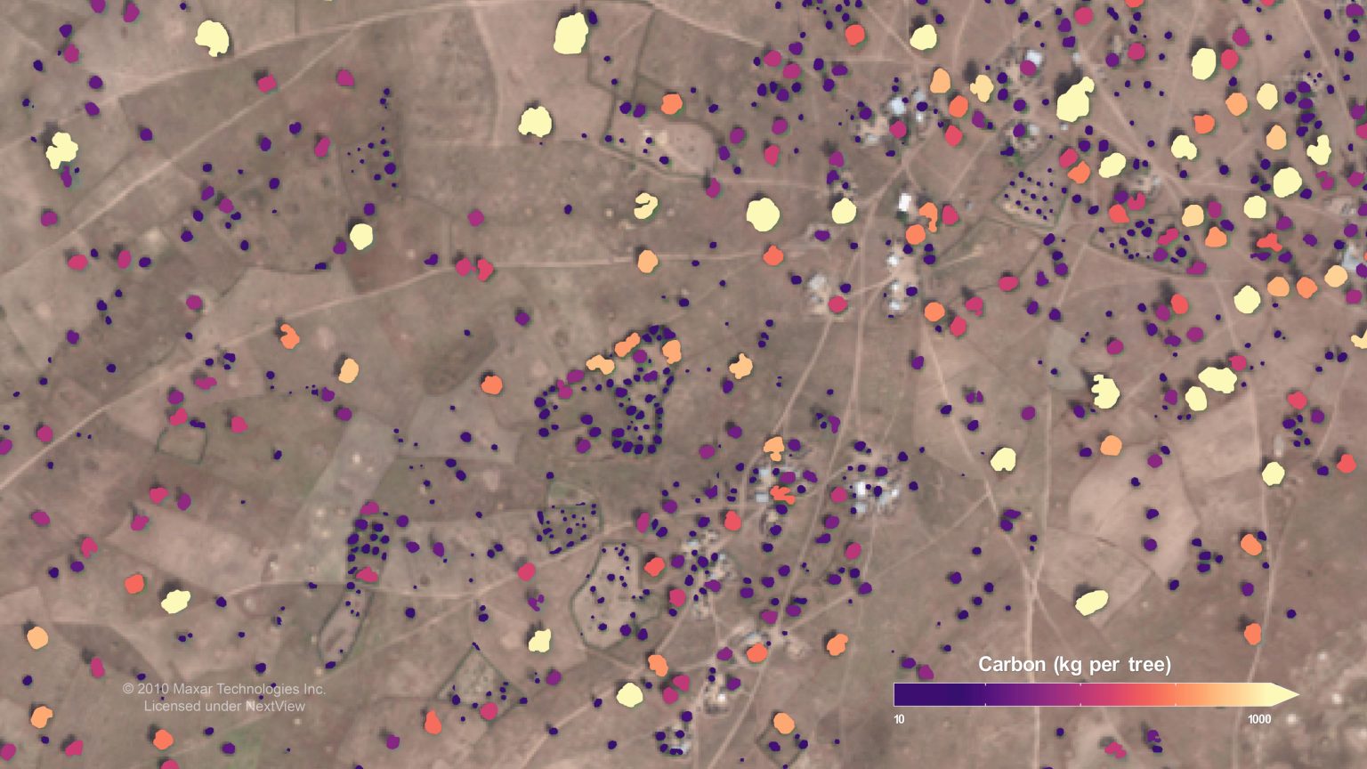 NASA Scientists Map 10 Billion Individual Trees in Africa’s Drylands To ...