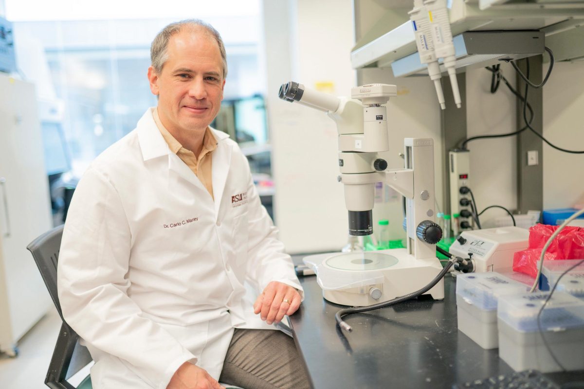 Rewriting Cancer S Blueprint New Study Challenges Old Theories