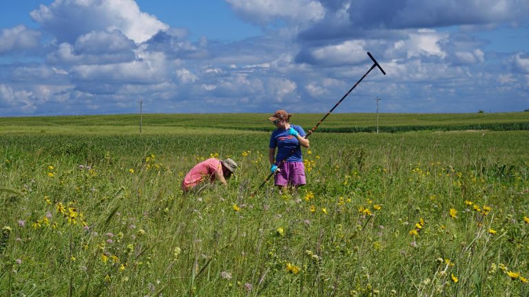 Saving Our Soil: How to Preserve U.S. Breadbasket Fertility for Centuries