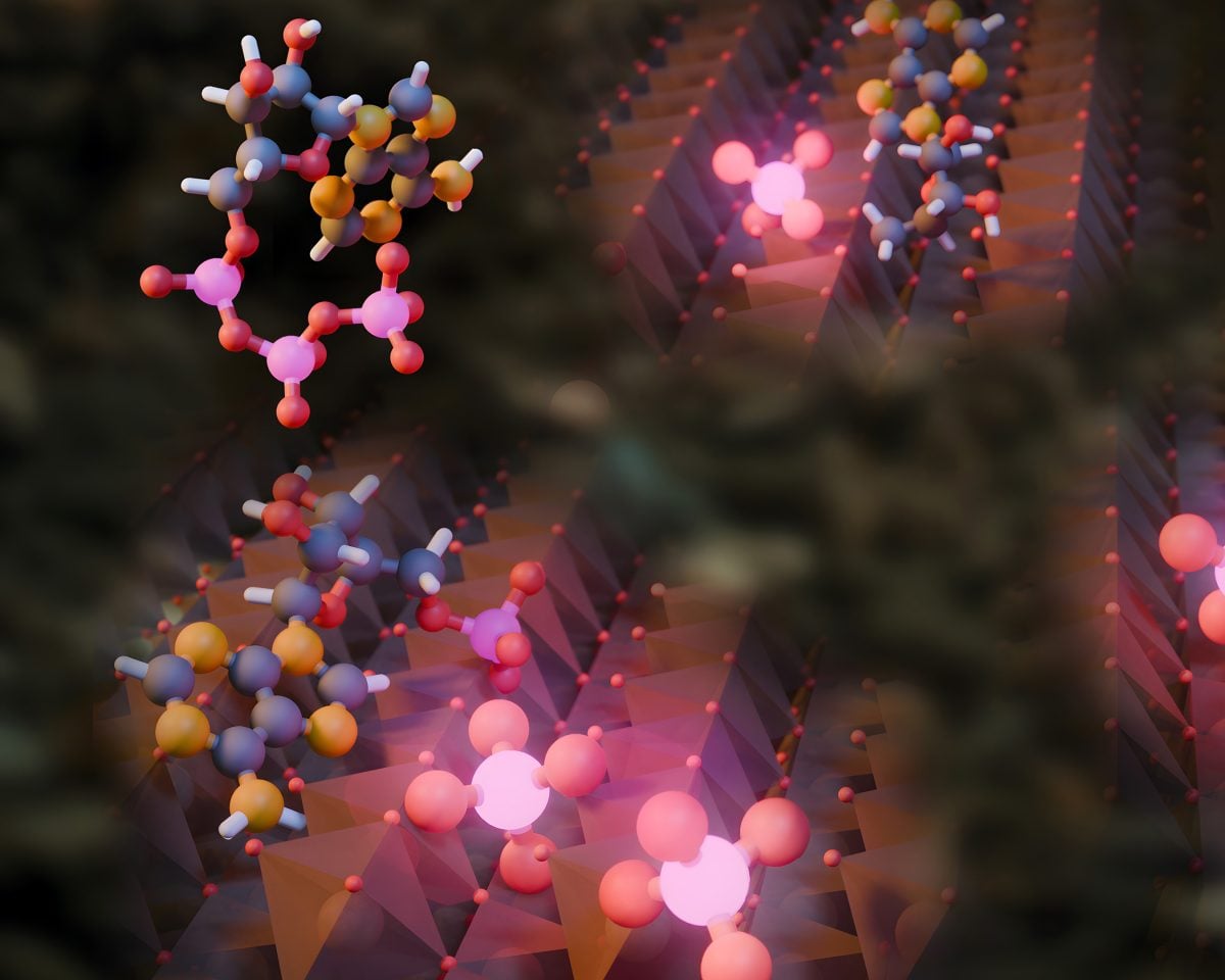 Rust to Riches: How Iron Oxides Supercharge Soil for Better Crop Growth