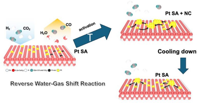 Chemists Discover How Platinum Catalysts Assemble and Disassemble Themselves