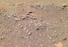 Curiosity Rover Finds a Bizarre Rock on Mars That Looks Like a Flower