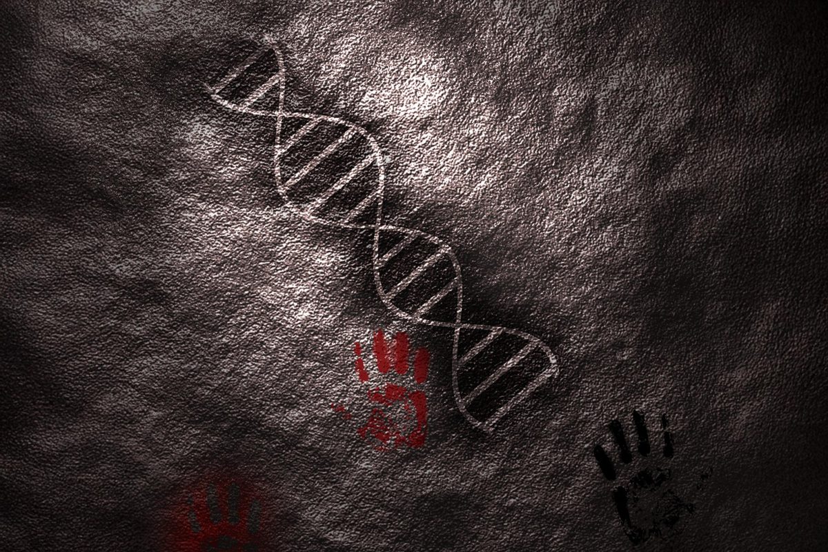 Ancient DNA Reveals Europe’s Last Hunter-Gatherers Survived Thousands ...