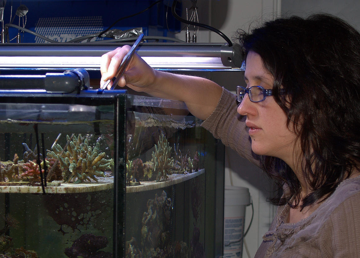 Darwin’s Paradox of Coral Reefs Solved – Scientists Unravel Age-Old Mystery
