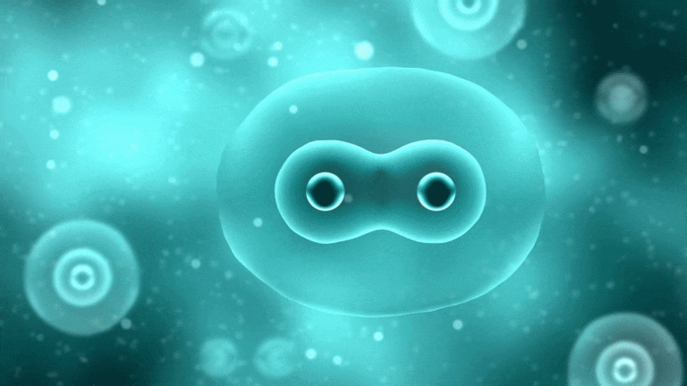 Artificial Cells Engineered to Act More Like the Real Thing