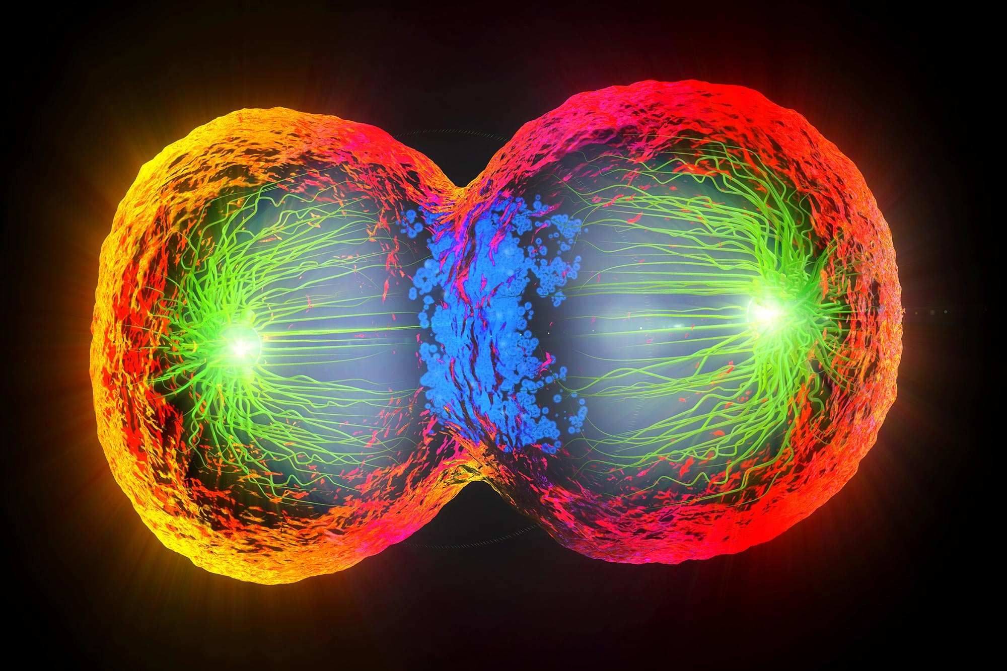 Origin Of Life The First Cells Might Have Used Temperature To Divide