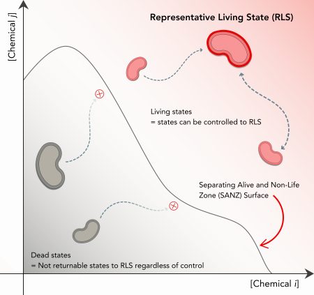 Death Isn’t Final: New Math Model Suggests Cells Can Be Revived