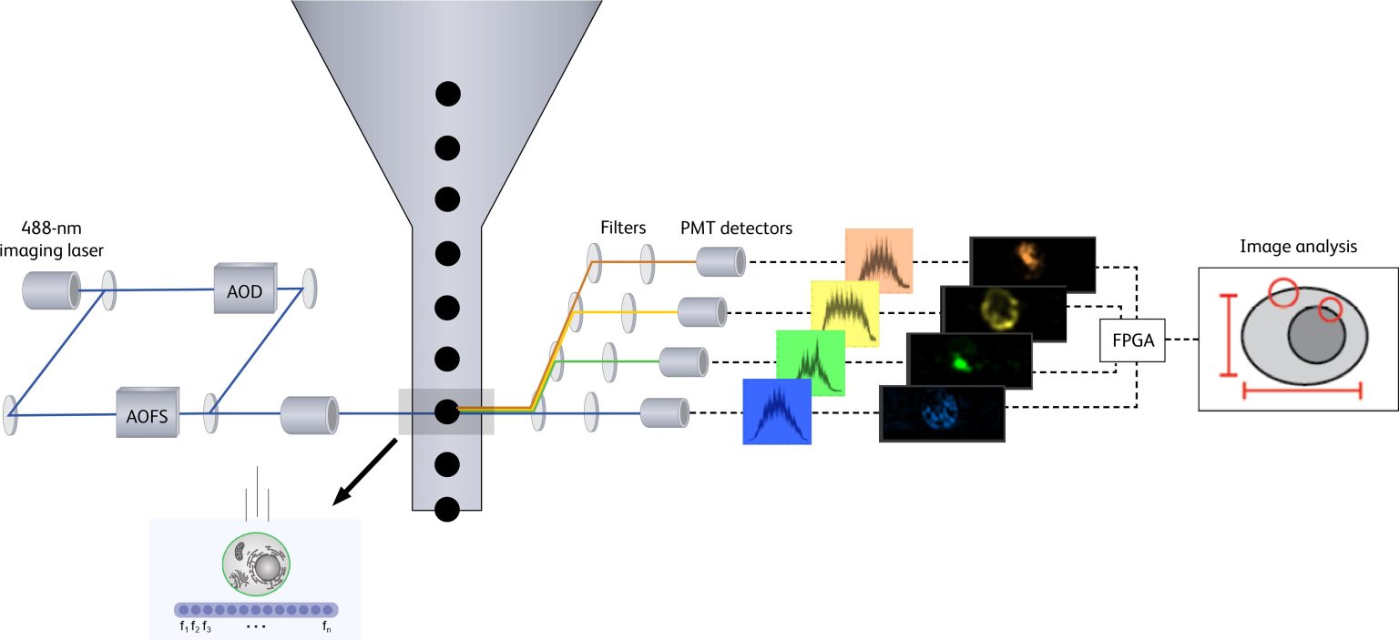 Landmark Advancement in Flow Cytometry Technology With Potential To ...