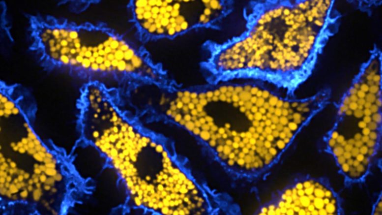 Latest Biology News & Discoveries: Cutting-Edge Research in Life ...