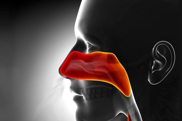 Scientists Reveal Cellular Changes That Lead to Chronic Allergic ...