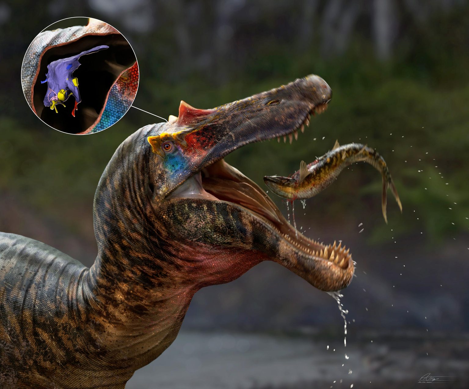 125 Million-Year-Old Spinosaur Brains Revealed Through CT Scanning