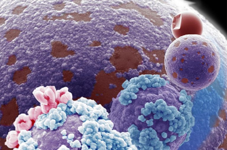 ‘Chameleon Metals’ Engineered to Change Surface Structure in Response ...