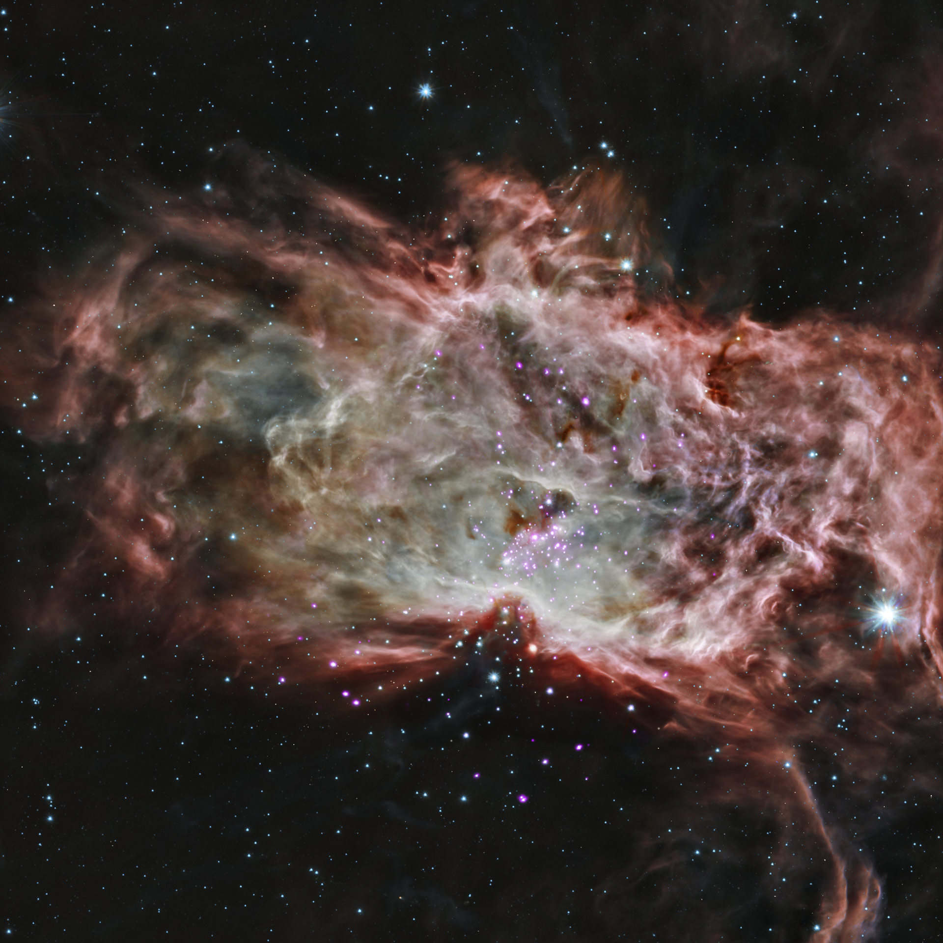 Chandra Delivers New Insight Into Formation Of Star Clusters Chandra Delivers New Insight Into Formation Of Star Clusters