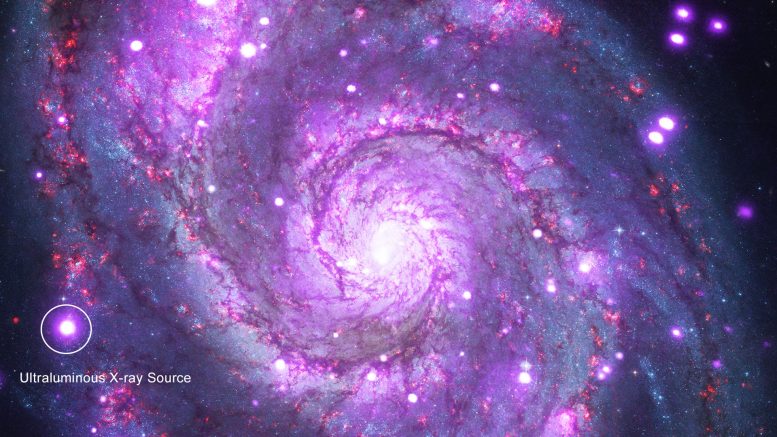 Chandra Reveals 25 Bright Point-Like X-Ray Sources in Arp 299