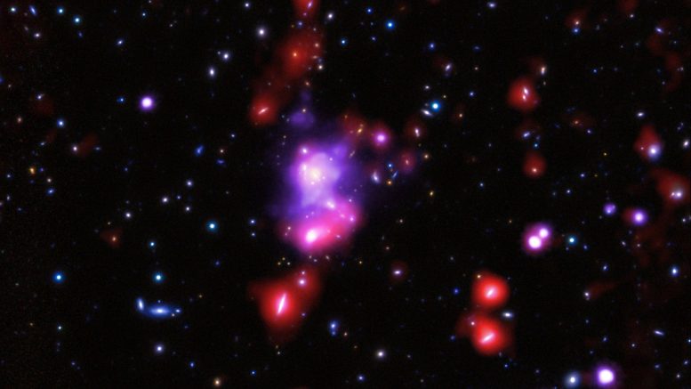 Largest Galaxy Cluster in Distant Universe Found by NASA's Chandra X ...
