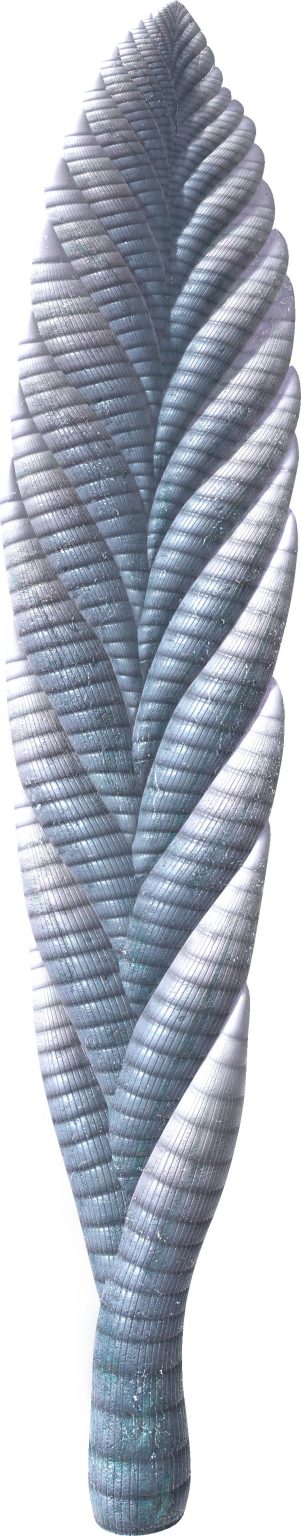 Decoding a 200-Year-Old Mystery: Research Sheds New Light on the ...