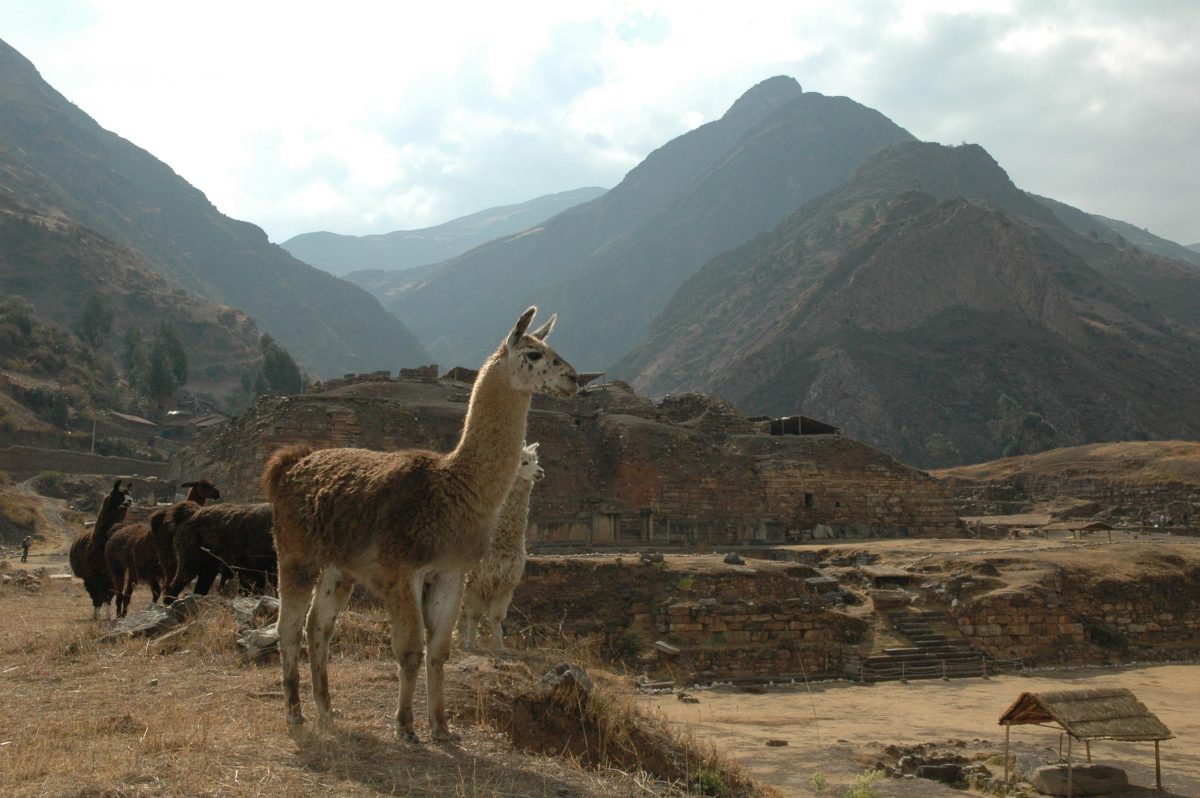 This Ancient South American Society Used Psychedelics To Secure Their Power