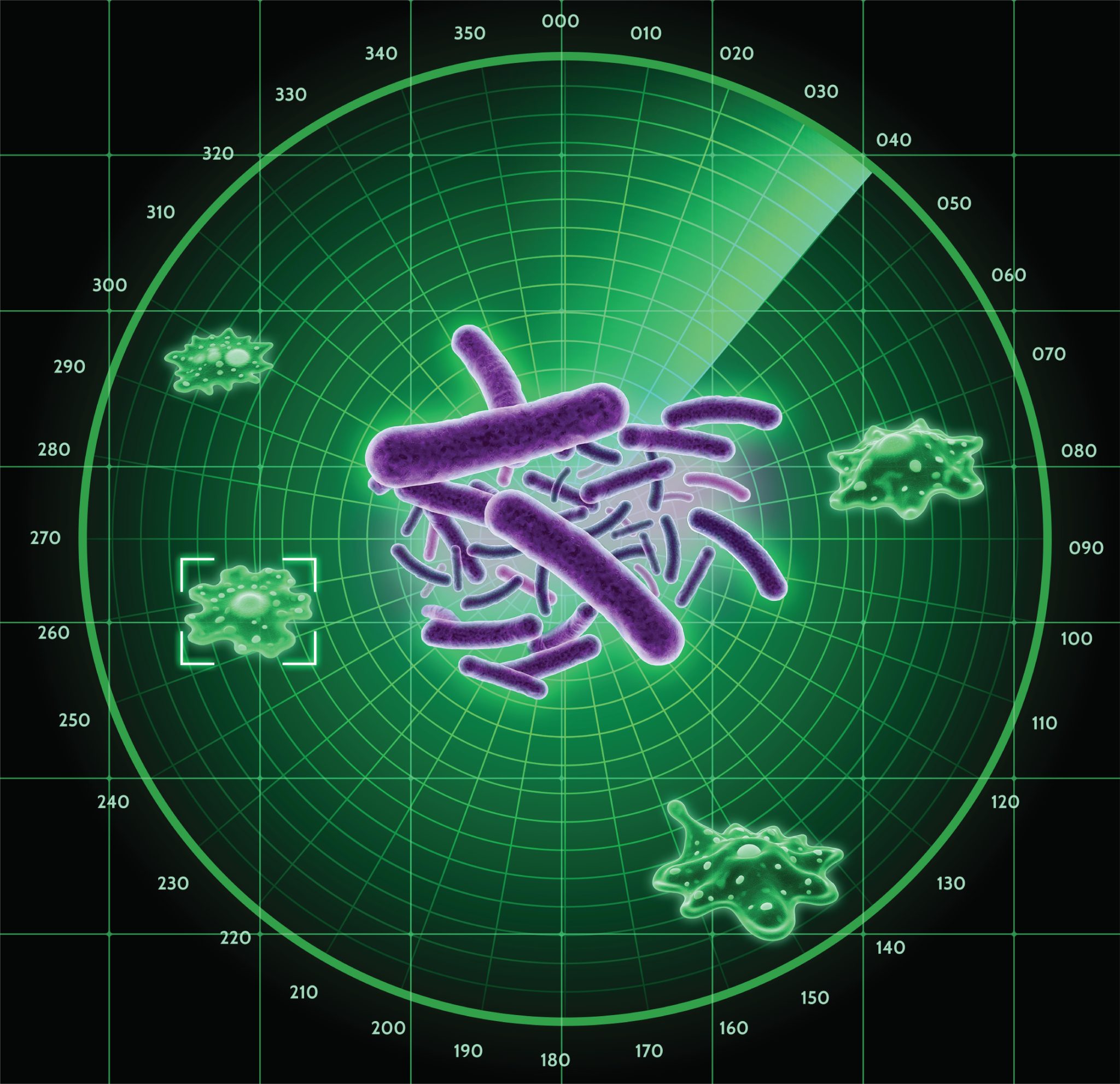 The Secret “Radar” Bacteria Use To Outsmart Their Enemies