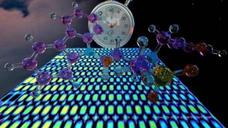 Circadian Rhythm: Resetting the Biological Clock by Flipping a Switch