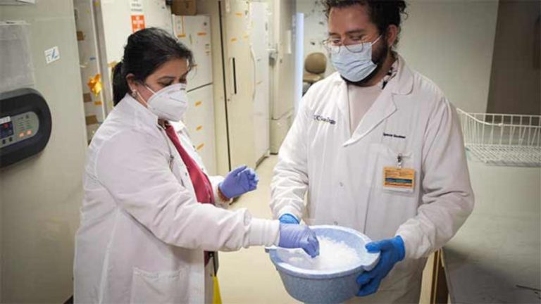 Reversing Alzheimer’s: Stem Cell Therapy Shows Promise