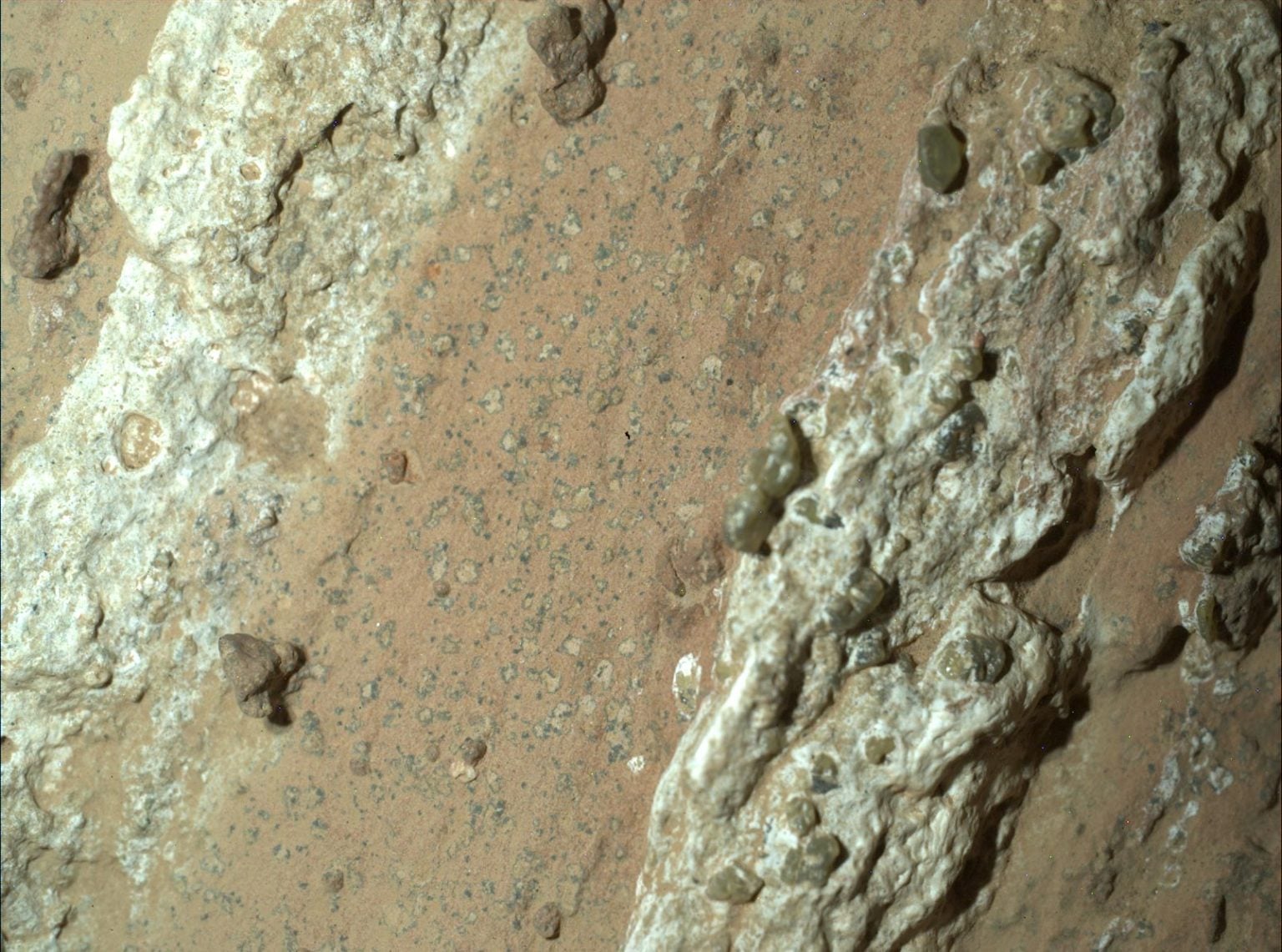 Strange Mars Mudstones May Hold the Strongest Clues Yet of Ancient Life