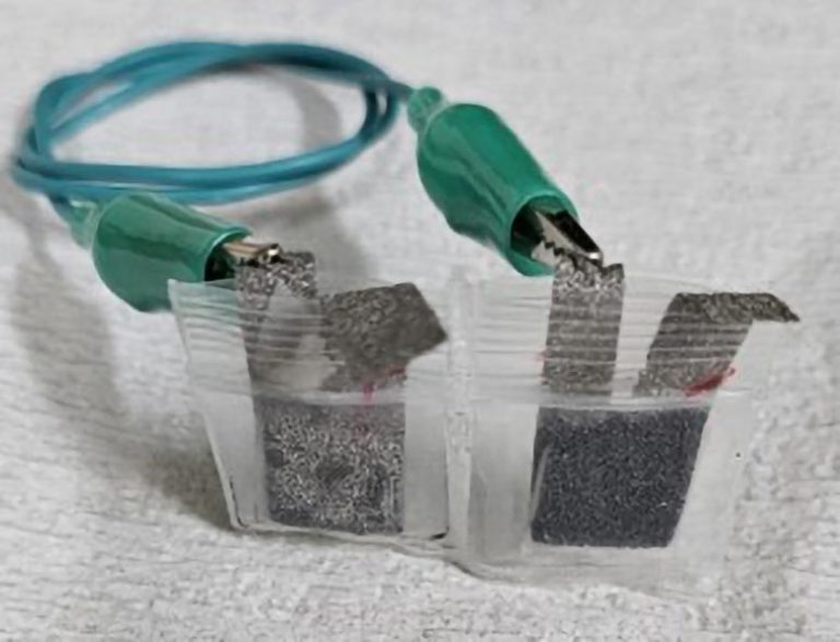 Poultry Power: Transforming Waste Chicken Fat into Clean Energy