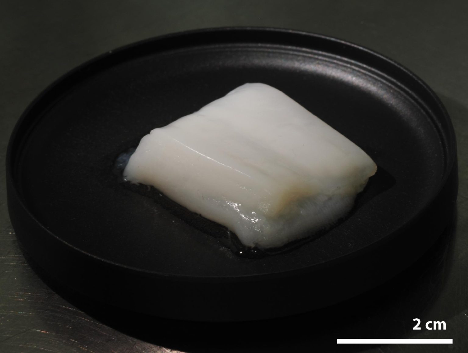 Tastes Like the Real Thing: Breakthrough Bioreactor Grows Realistic ...