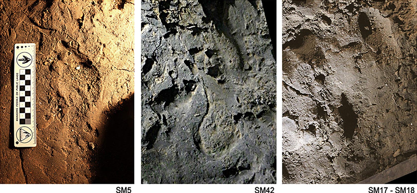 Archaeologists May Have Just Solved a Long-Standing Cave Art Mystery