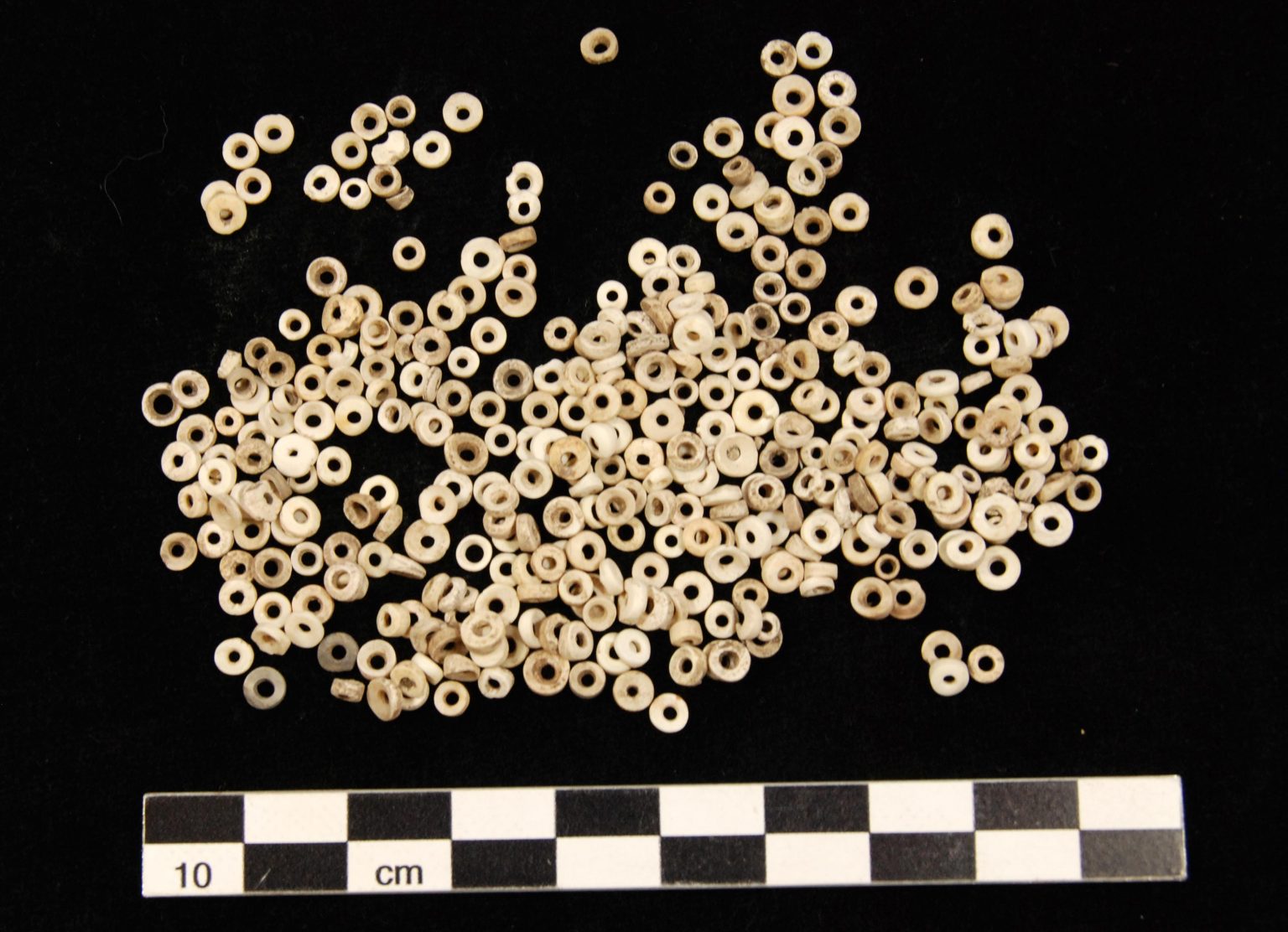 An Ancient Economy: Chumash Indians Used Currency 2,000 Years Ago