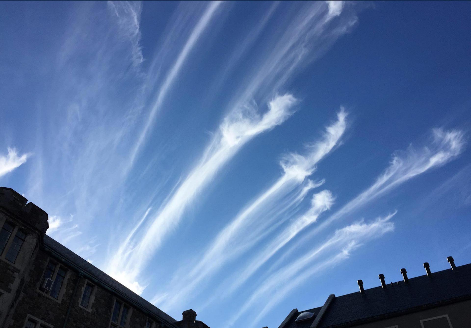 Reading the Sky: The Secret Science Behind Cloud Shapes and Weather ...