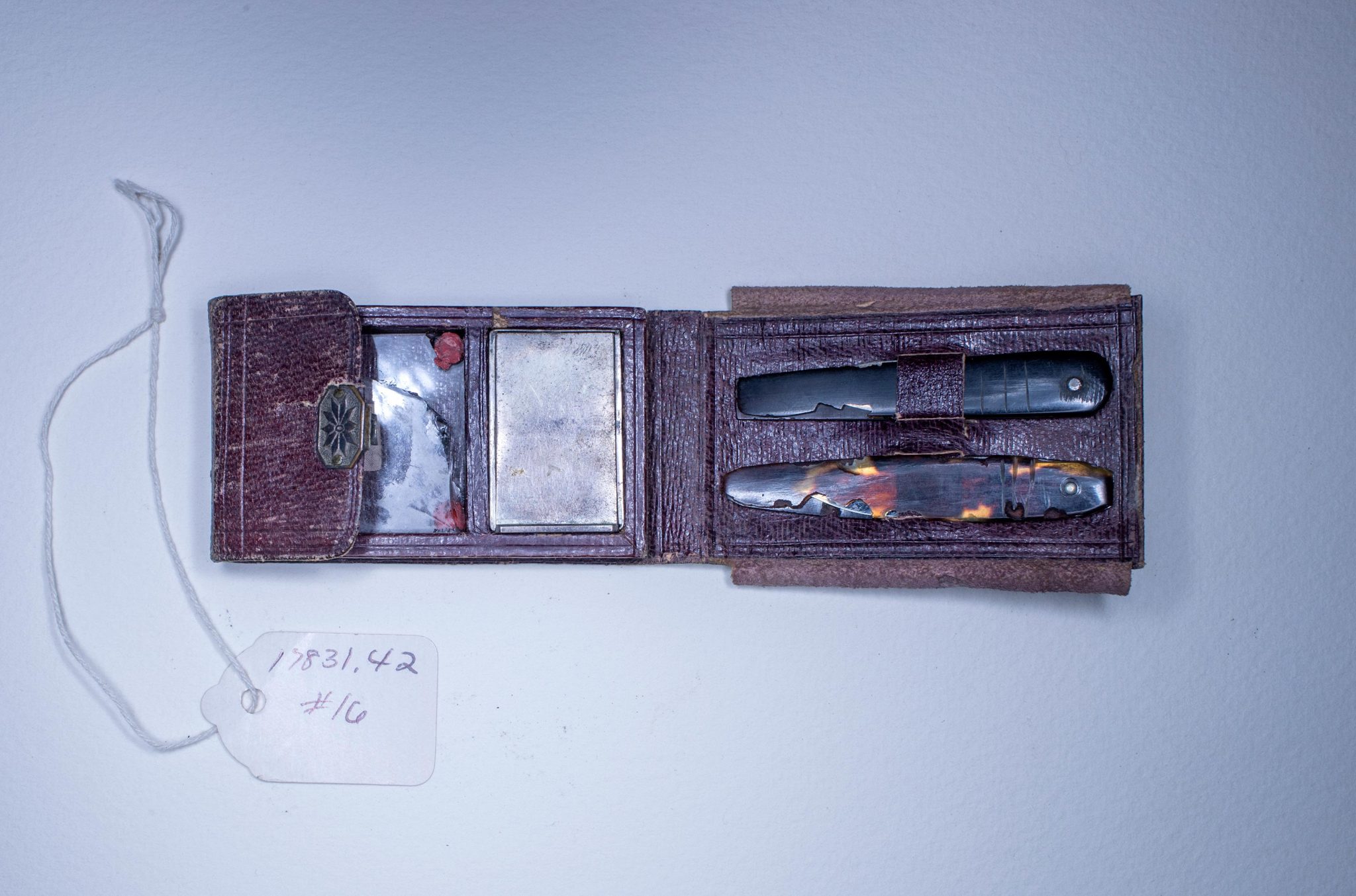 Scientists Trace Origin of Smallpox Vaccine Strains Used in the Civil War