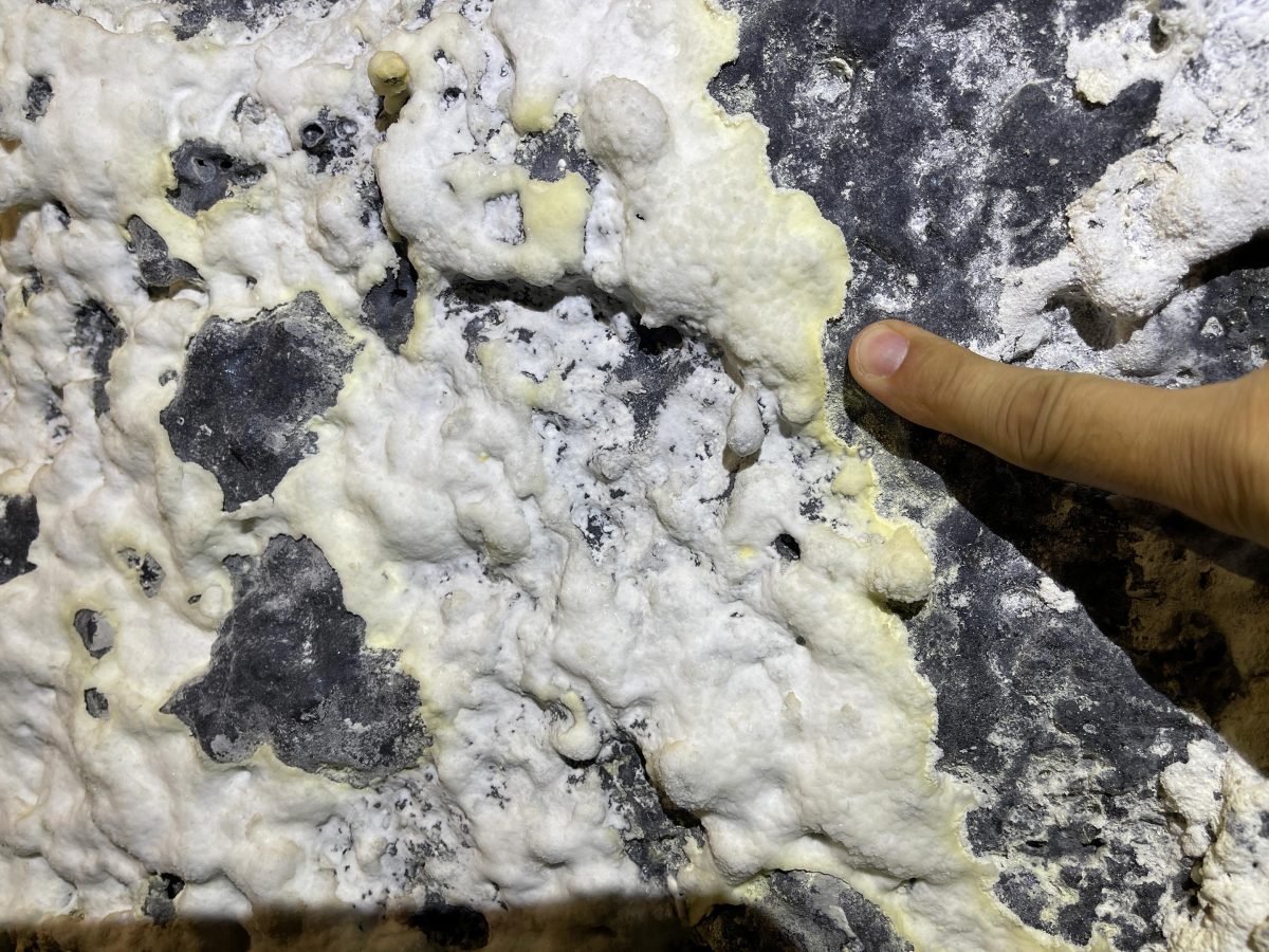 Ancient Lava Tubes Reveal Hidden Clues to Life Beyond Earth