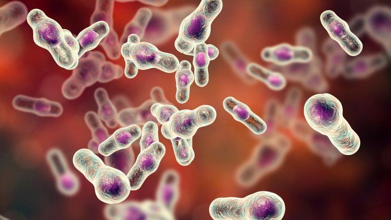 C. Difficile – Bacteria That Causes Severe Diarrhea – Is Everywhere