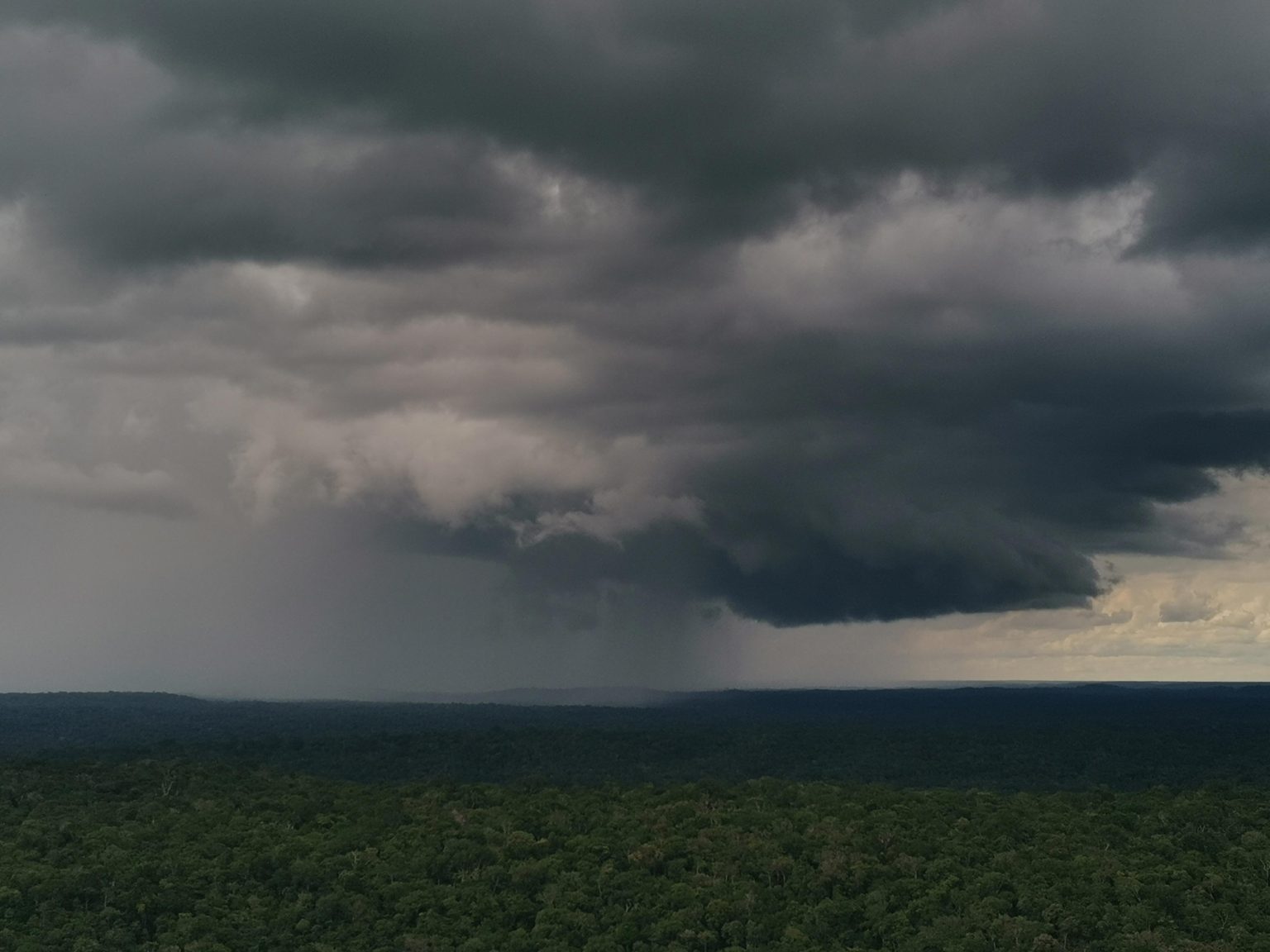Amazon Rainfall Sparks Tiny Cloud Factories in the Sky
