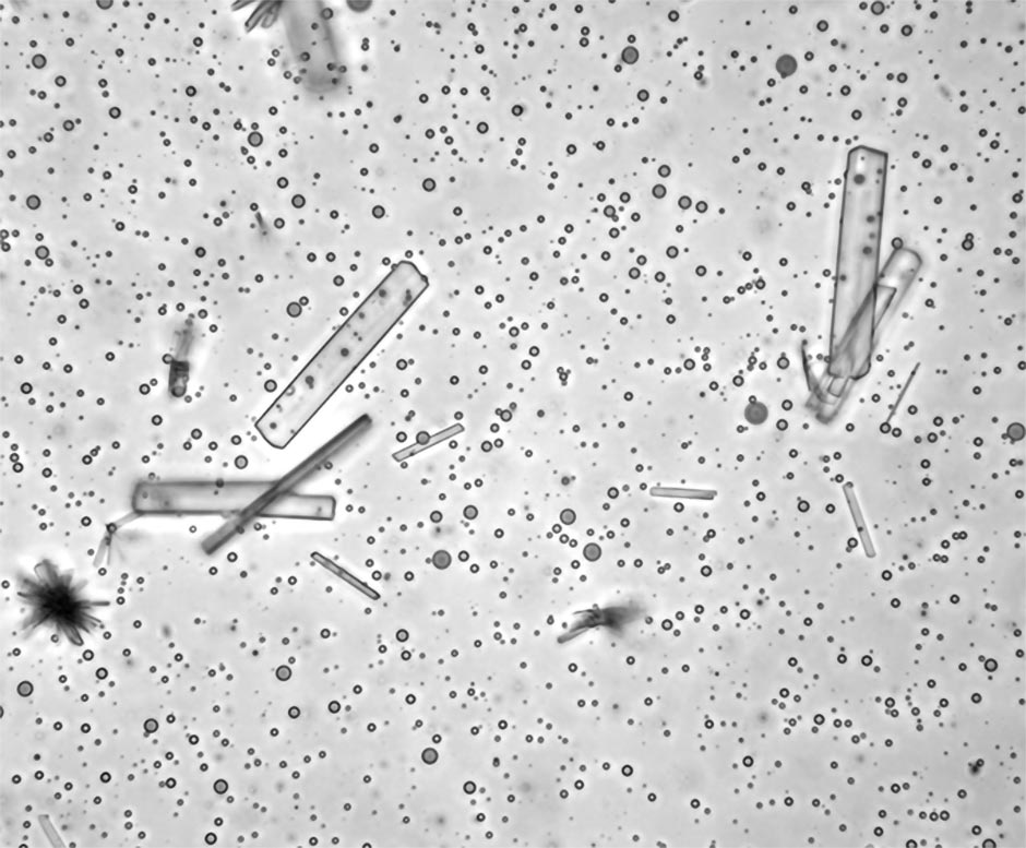 Calcium’s Cosmic Secret: How a Common Mineral May Have Sparked Life on ...