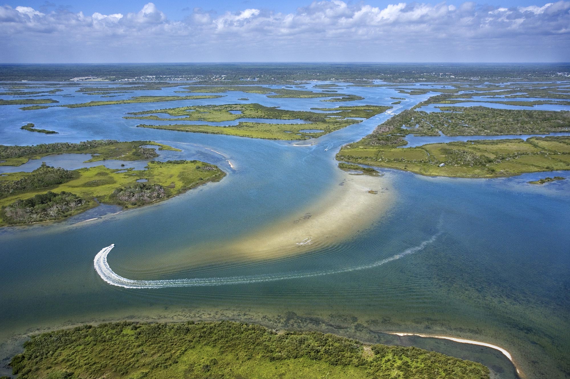 Nature’s Shield: How Salt Marshes Are Revolutionizing Coastal Defense