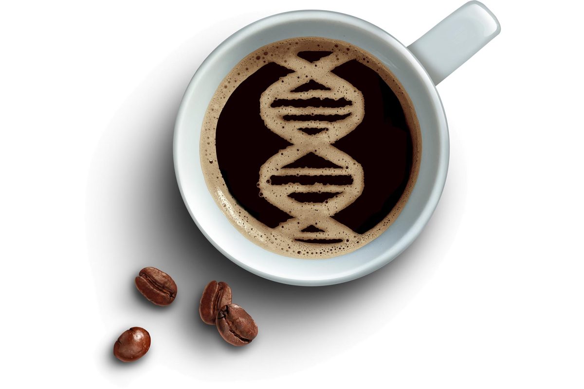 Caffeine Flip-Flops a 500-Million-Year-Old Switch to Slow Aging