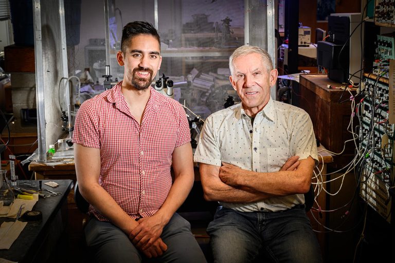 Millions of Years Ago – Surprising Findings Reveal That Brain Circuits ...