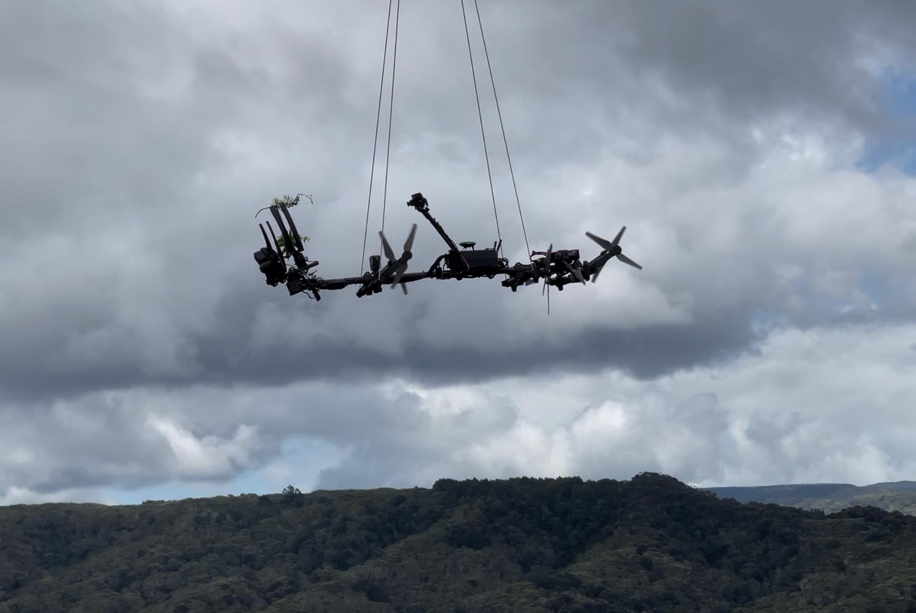 Innovative Drone Technology Discovers New Plant Species in Hawaii