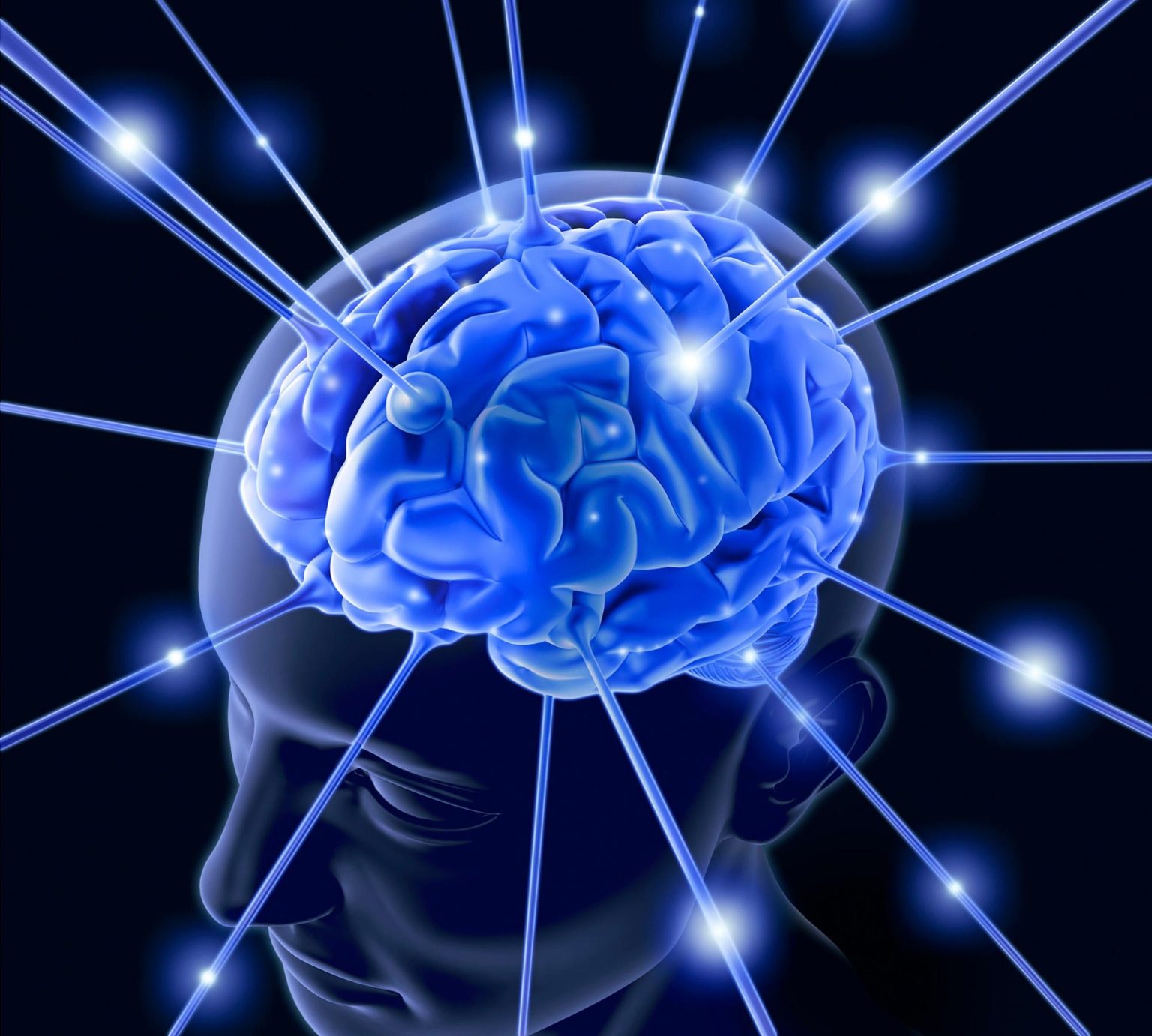 To Understand Human Cognition Scientists Look Beyond the Individual ...