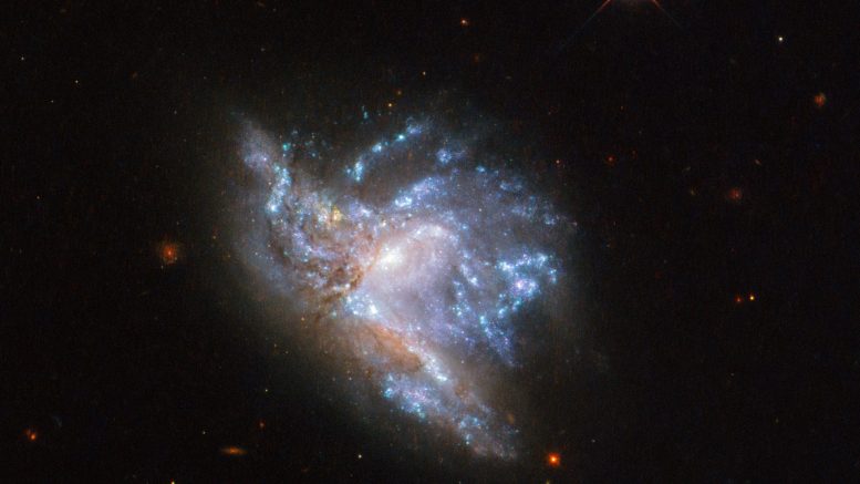 Hubble Image of the Week: Galaxy NGC 6052