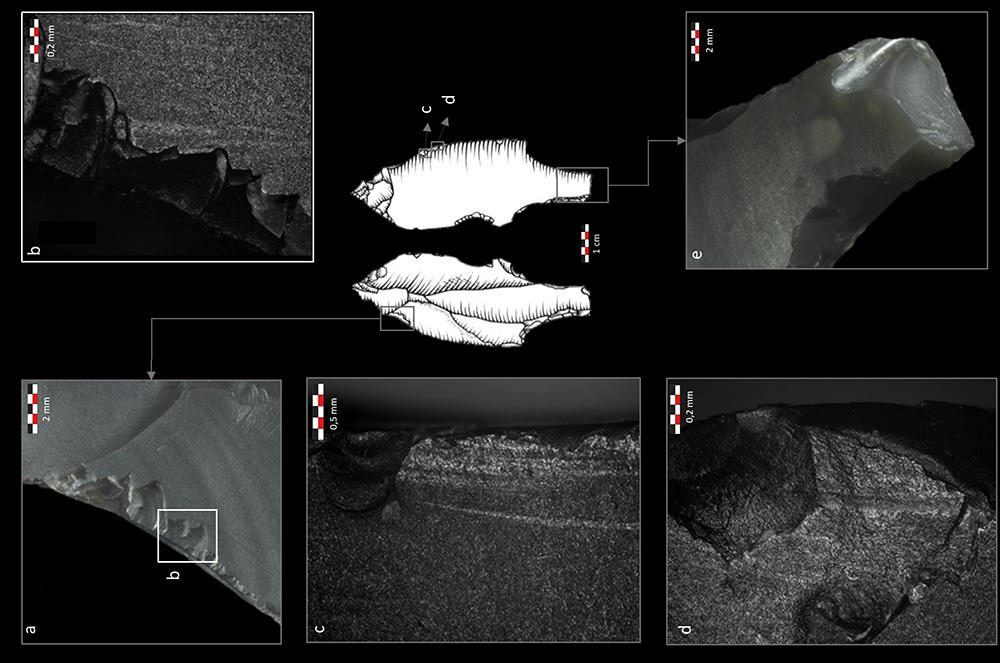Ancient Arsenal Unearthed: 31,000-Year-Old Long-Distance Weapons Found ...