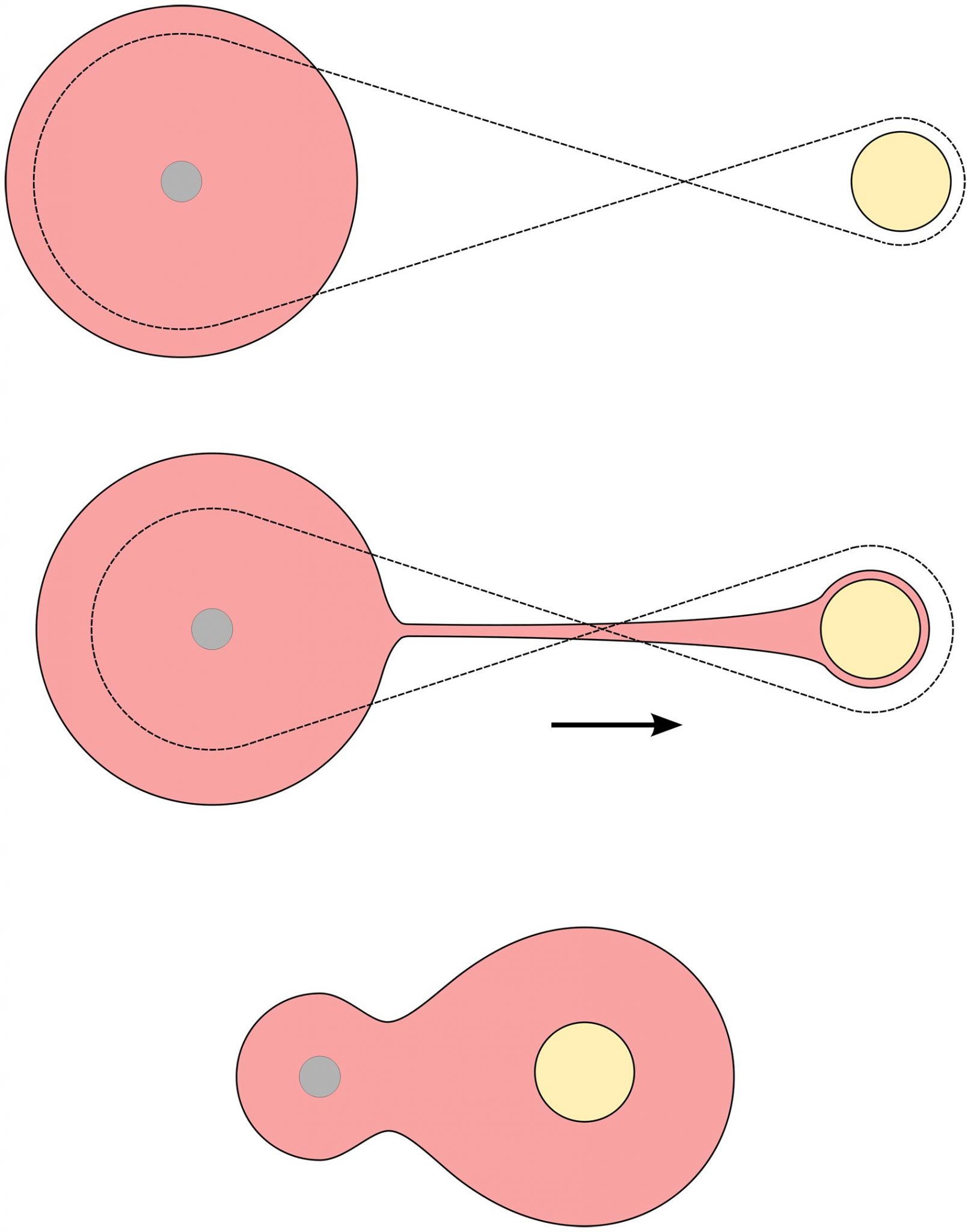 Dancing Stars and Black Holes in a Cosmic Cloud of Gas: Investigating ...