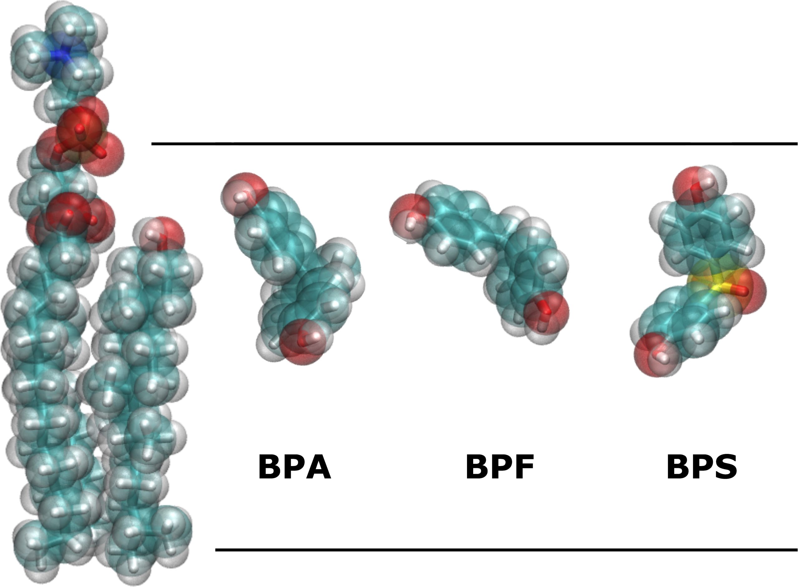New Study Links “Safer” BPA Alternatives to Obesity, Diabetes, and ...