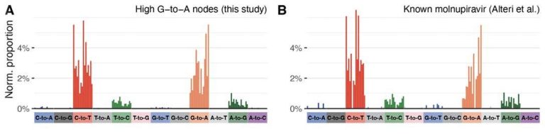 Unintended Side Effect: Antiviral Drug Linked to Unusual COVID-19 Virus ...