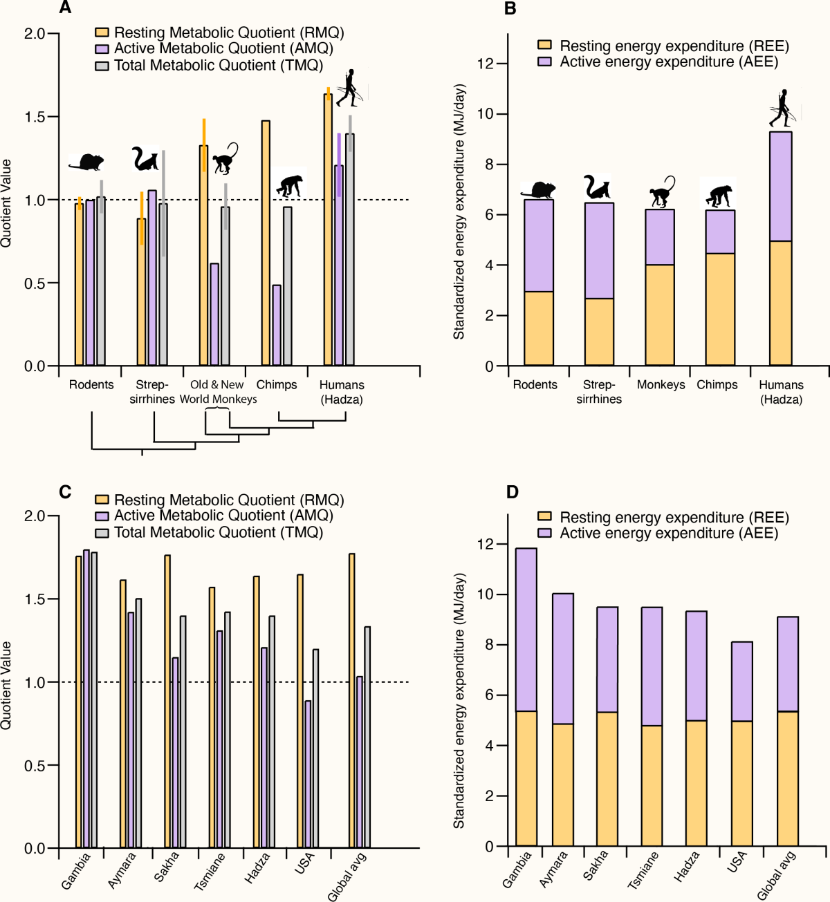Harvard Scientists Just Discovered Why Humans Burn Energy Like No Other ...